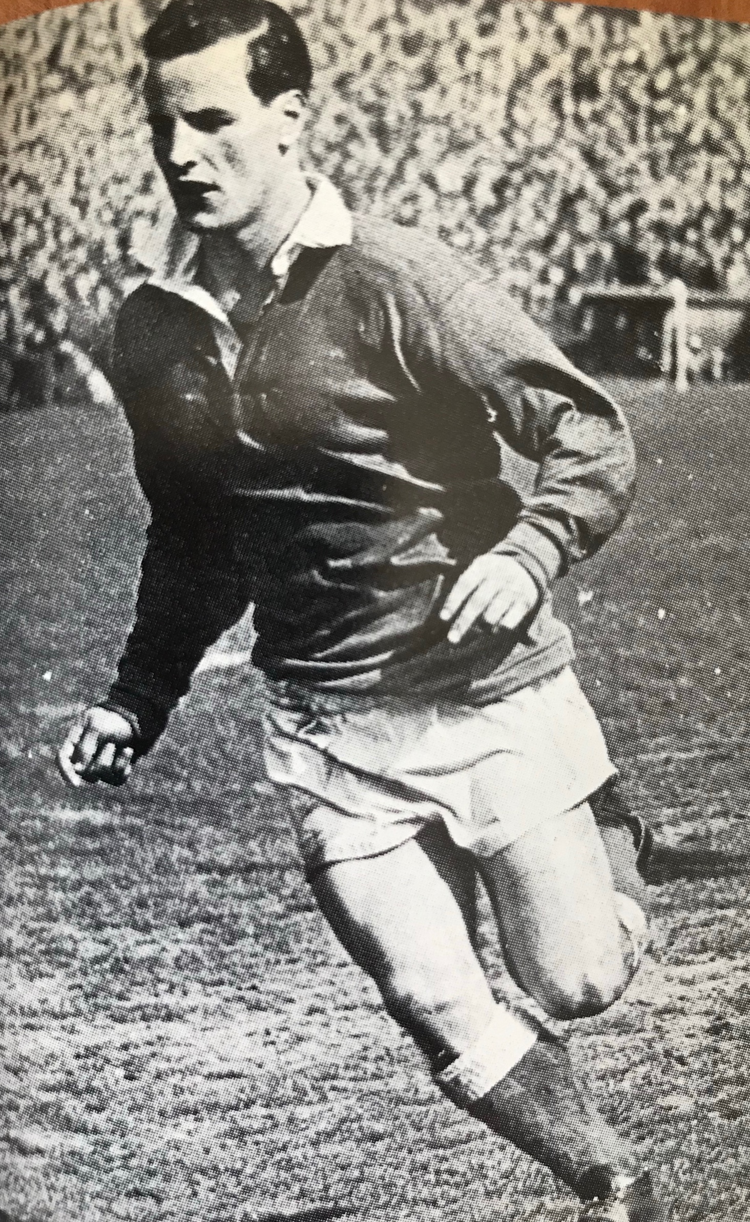 image-2 – Steve Ricketts